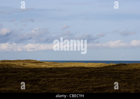 WINTERTON DUNES NATIONAL NATURE RESERVE Norfolk, England. (Habitat of ...