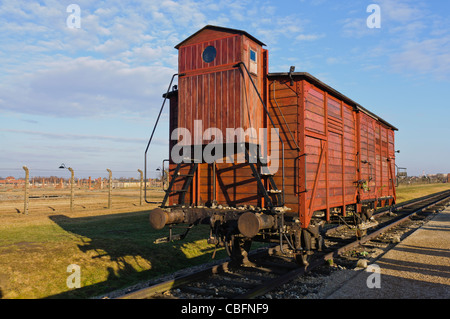 Cattle truck used to transport hundreds of Jews to the Auschwitz ...