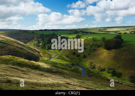 Simonsbath Exmoor Somerset England UK Europe Stock Photo - Alamy