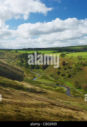 Cornham Brake near Simonsbath, Exmoor National Park, Somerset, England ...