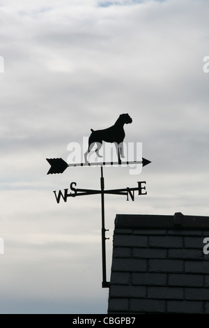 compass weather vain on roof top Stock Photo - Alamy