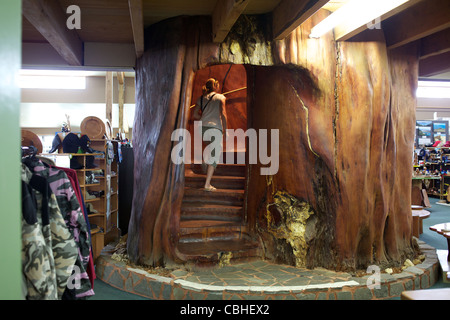 The giant Ancient Kauri staircase, the centre piece for the Ancient ...