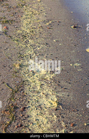 spill disaster on sea yellow pollution Stock Photo - Alamy