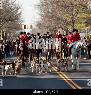 MIDDLEBURG, VA - DECEMBER 3: The Middleburg Hunt in traditional ...