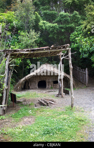 Replica Maori buildings at Rewa Village, above the Historic Basin at ...
