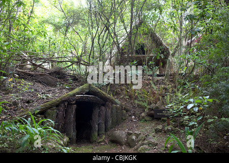 Replica Maori buildings at Rewa Village, above the Historic Basin at ...