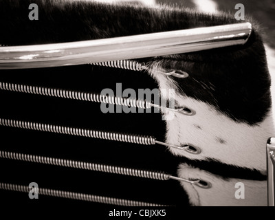 Green or dining clean skin beautiful woman portrait cosmetology model ...