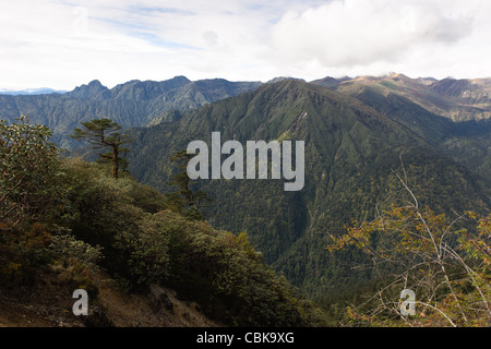 The himalayan foothills of Sikkim, India Stock Photo - Alamy