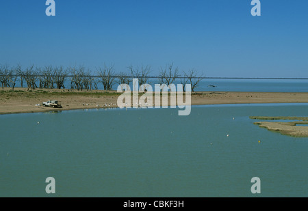 Menindee lakes australia with dead trees Stock Photo - Alamy