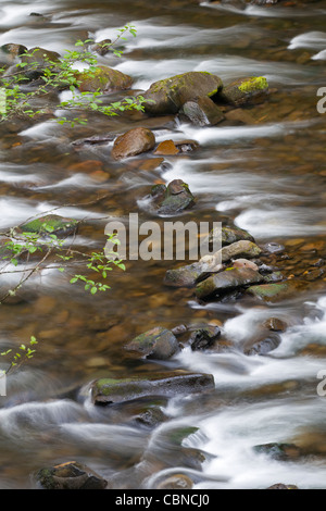 Tanner Creek, Columbia River Gorge National Scenic Area, Oregon USA ...