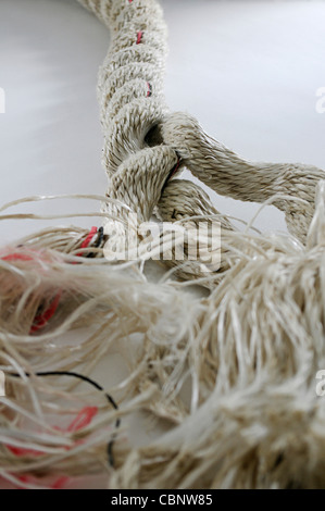 Neatly twisted multi-ply rope coming apart into a disorganized tangle ...