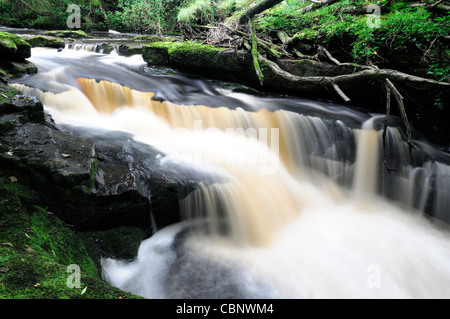 Clare Glens waterfall falls scene scenic along the Clare river flow ...