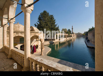 Pool of Abraham or Balikli Gol in Sanliurfa or Urfa, Turkey Stock Photo ...