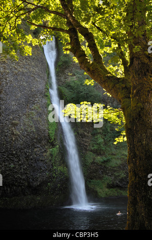 Columbia river gorge waterfalls along the Columbia river, Oregon Stock ...