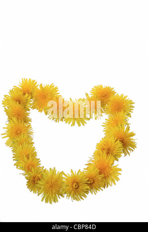 Stack of yellow flowers placed on white background Stock Photo - Alamy