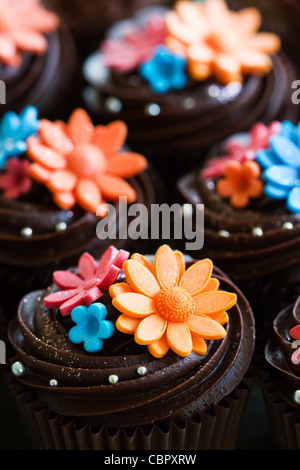 Chocolate ganache cupcake Stock Photo - Alamy