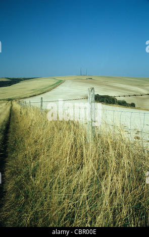Radio masts on the South Downs Way at Beddingham Hill near Firle Beacon ...