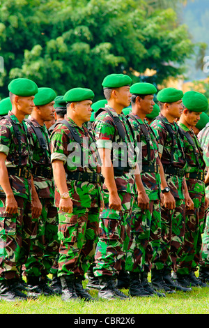 Members of Indonesian military stand in ranks and salute Stock Photo ...
