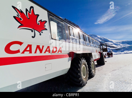 Brewsters Snocoach Ice Explorer Columbia Icefield Athabasca glacier in ...
