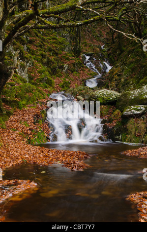 Welsh Mountain Stream Stock Photo - Alamy