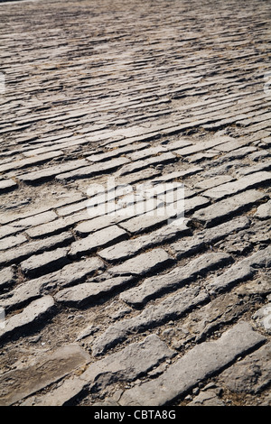 ancient Rock Path inside of forbidden city in beijing china Stock Photo ...