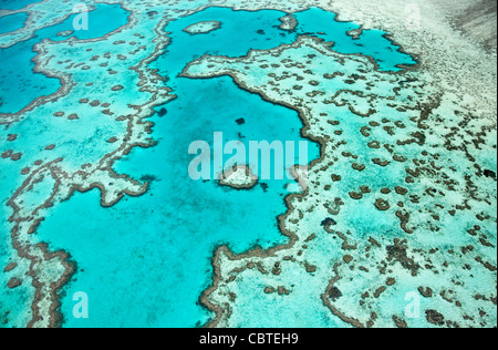 Aerial views of beautiful Heart Reef in the spectacular Great Barrier ...
