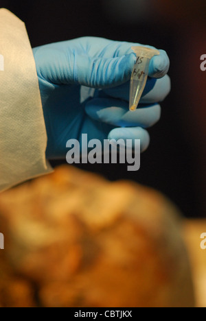 DNA tests on the Royal Mummy of Hatshepsut and her relatives Nefertari ...