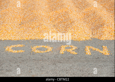 the word CORN written with corn Stock Photo - Alamy
