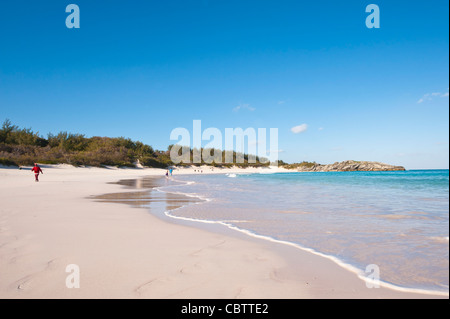 Horseshoe Bay Beach Bermuda Pink sand Beach symbol blue sky background ...
