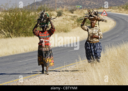 Damara women carrying wood on head, Damaraland, Namibia Stock Photo - Alamy