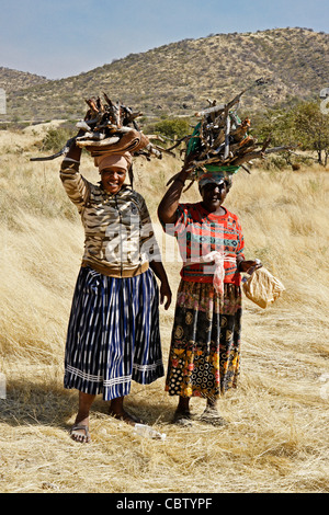 Damara women carrying wood on head, Damaraland, Namibia Stock Photo - Alamy