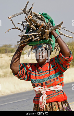 Damara woman carrying wood on head, Damaraland, Namibia Stock Photo - Alamy