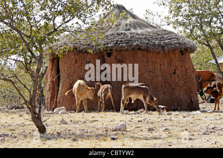 Traditional African mud hut with thatched roof in village Kenya Africa ...
