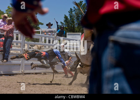 Rodeo action at Southport Australia Day Rodeo Stock Photo - Alamy