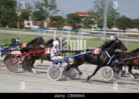 Trotting race, harness racing track, Baden, Lower Austria, Austria ...