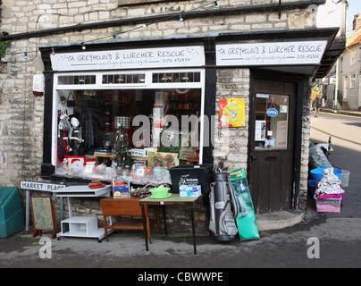 Tia Greyhound and Lurcher rescue charity shop Pickering Yorkshire ...