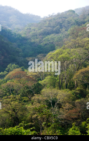 Bolivia. Santa Cruz department. River valley Piray Stock Photo - Alamy