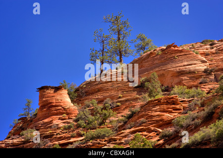 Layers of Sandstone Strata Zion National Park Utah Stock Photo - Alamy