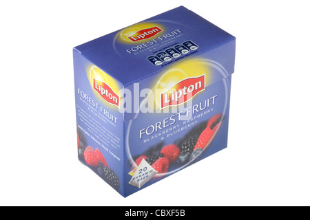 Lipton Forest Fruit Tea Bags Stock Photo - Alamy