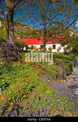 Vineyard at Gibbston Valley Winery near Queenstown, New Zealand Stock ...
