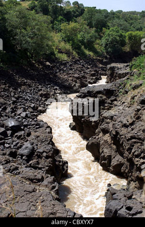 River in Ethiopia Stock Photo - Alamy