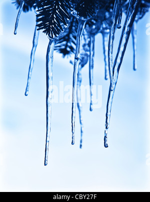 frozen water drops on tree Stock Photo - Alamy