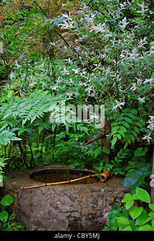Cistern, Engaku-ji Temple, Kamakura, Japan Stock Photo - Alamy