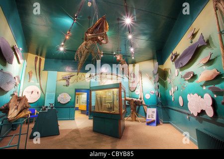 A display about whales and the whaling industry in the Maritime Museum ...