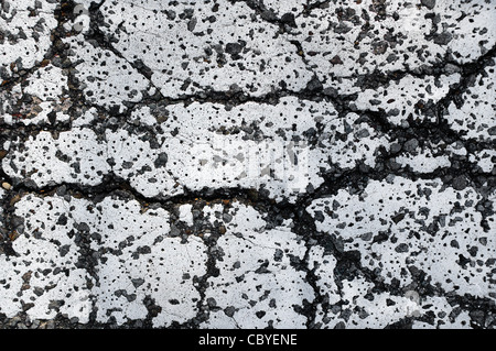 Black asphalt with broken white paint line, in need of maintenance ...