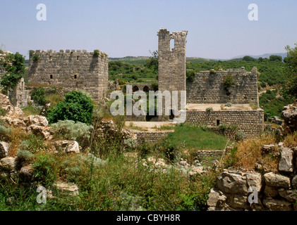 Syria Saladin's castle Stock Photo - Alamy