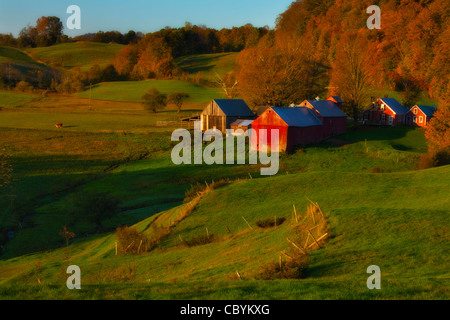 Jenne Farm in Reading Vermont USA with trees in colorful Fall foliage ...
