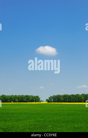 Spring field work. Early shoots. A tractor with attachments sprays ...
