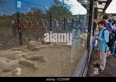 Students at the “Garden of Fugitives, petrified corpses in Pompeii ...