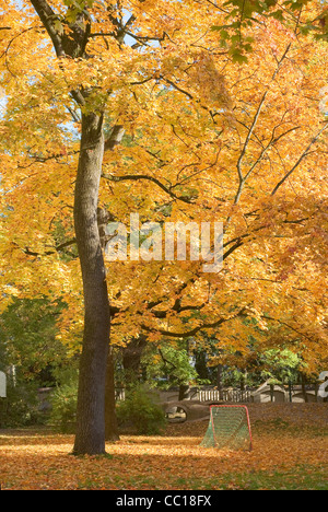 Backyard yard Autumn scene. Residence Stock Photo - Alamy